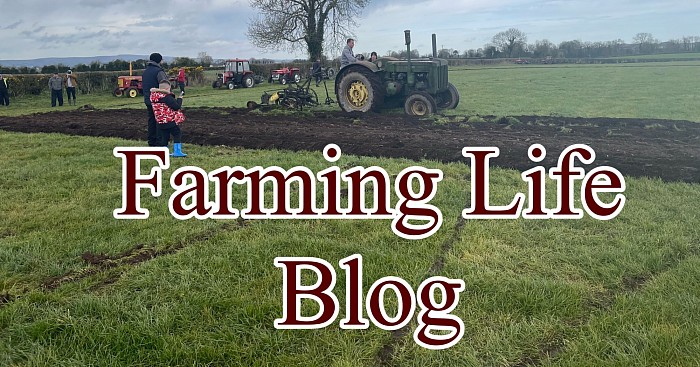 Farming Life Blog